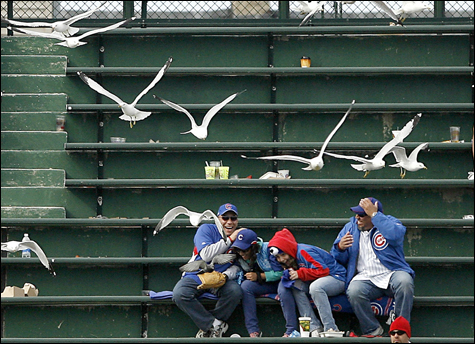Seagulls announce plans to boycott Wrigley Field for rest of season ...